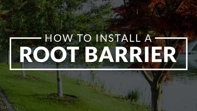How to Install a Root Barrier - All Stake Supply