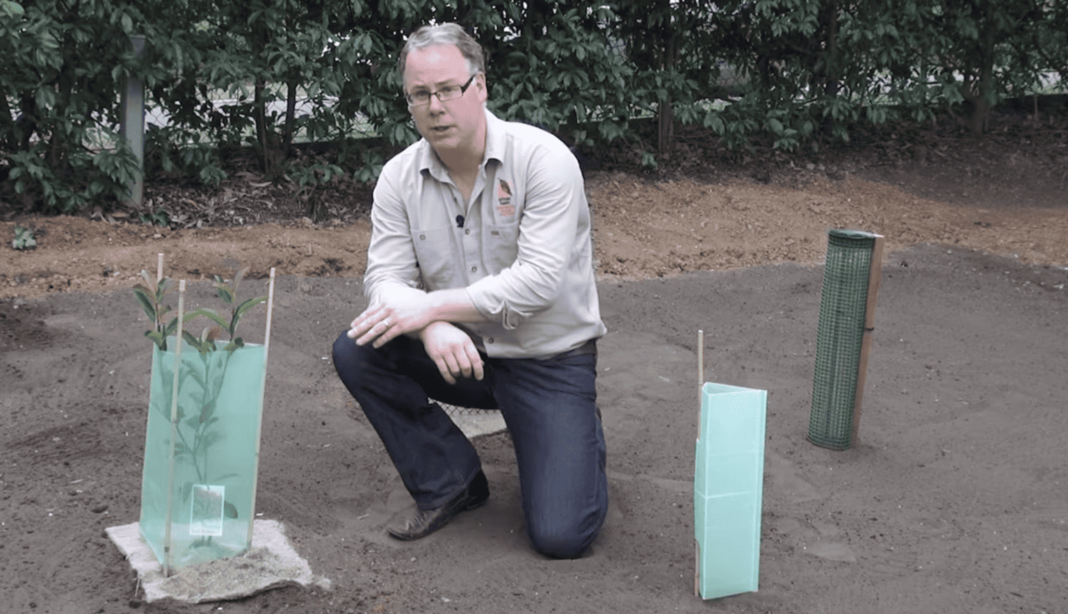 Corflute Tree Guards, Effective and Affordable Tree Protection - All ...