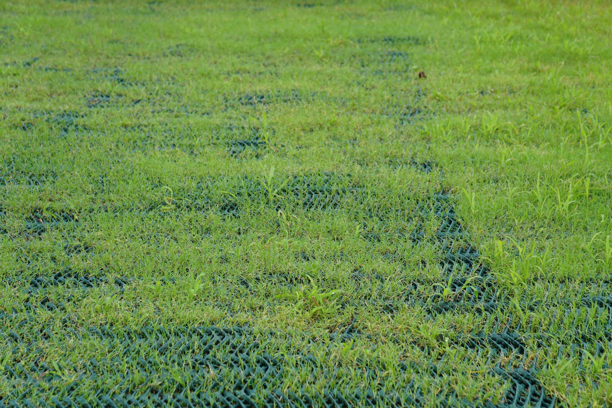 GR11 Grass Reinforcement Mesh 2m x 20m - All Stake Supply