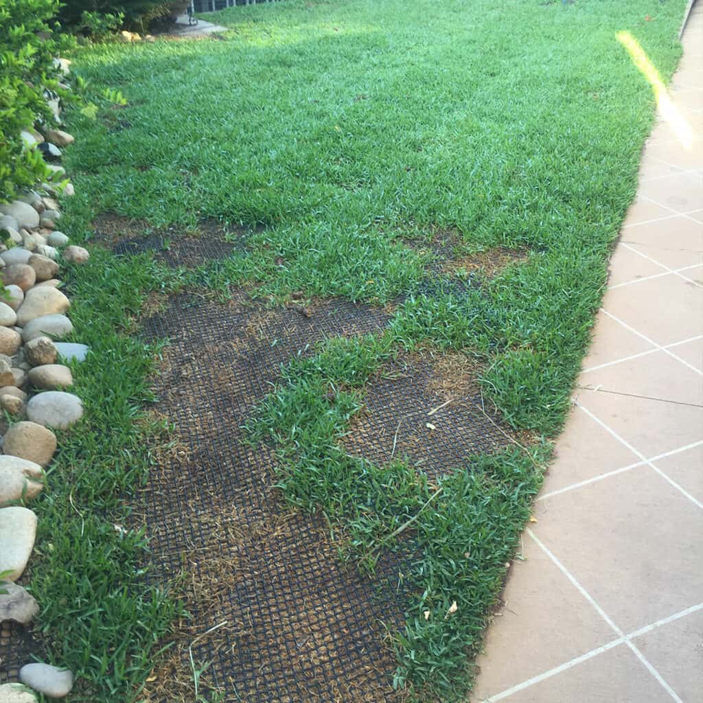 TR4 Turf Reinforcement Mesh 2m x 30m - All Stake Supply