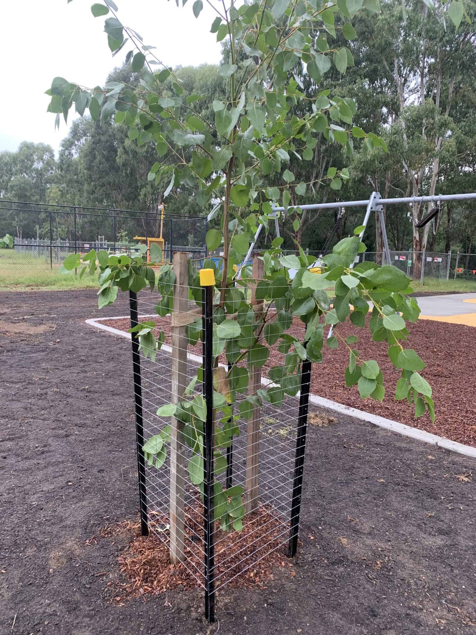 Metal Mesh Tree Guard Large - 10 Pack - All Stake Supply